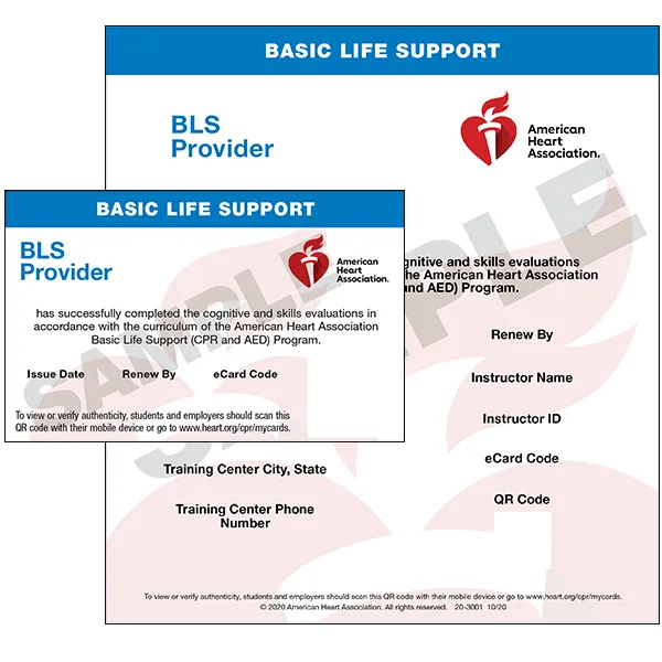 Basic Life Support (BLS) - 208 Medical
